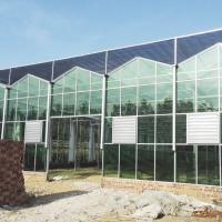 China Roofing Shape a Type Roof Greenhouse for Shading Screen Glass Flower Cultivation for sale