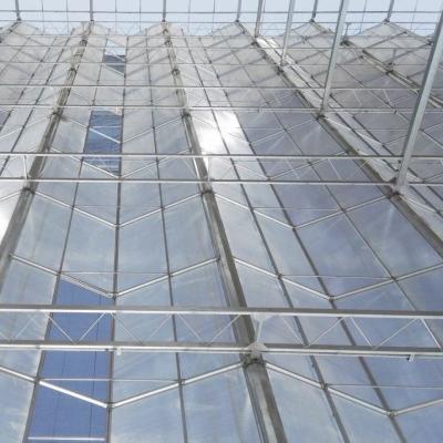 China Glass Roof Greenhouse for Flower Growing Initial Payment and Affordable Shipping Cost for sale