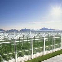 China Reasonably Priced Glass Greenhouse for Vegetable Farming and Affordability Guaranteed for sale