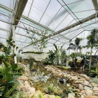 China Reasonably Priced Glass Greenhouse for Vegetable Farming and Affordability Guaranteed for sale