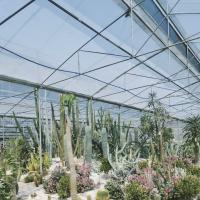 China 80.000kg Package Gross Weight Drip Irrigation Glass Greenhouse with Vegetables for sale