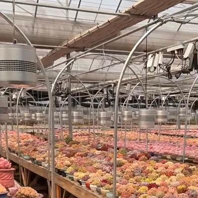 China Float Glass Greenhouse for Vegetables Multi Span Design Customized Request Accepted for sale