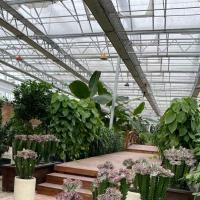 China Large Shading Screen Glass Greenhouse Hydroponic System for Optimal Crop Cultivation for sale