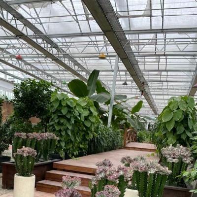 China Large Shading Screen Glass Greenhouse Hydroponic System for Optimal Crop Cultivation for sale