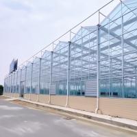 China Large Shading Screen Glass Greenhouse Hydroponic System for Optimal Crop Cultivation for sale