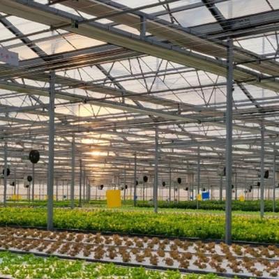 China Type Roof Glass Commercial Greenhouse Hydroponic Setup for Year-Round Availability for sale