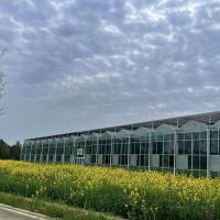 China Type Roof Glass Commercial Greenhouse Hydroponic Setup for Year-Round Availability for sale