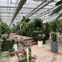 China Type Roof Glass Commercial Greenhouse Hydroponic Setup for Year-Round Availability for sale