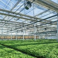 China Type Roof Glass Commercial Greenhouse Hydroponic Setup for Year-Round Availability for sale