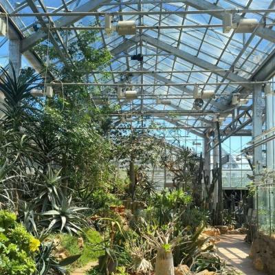 China Initial Payment Chinese Origin Glass Greenhouse with Hydroponic System Multi Span for sale