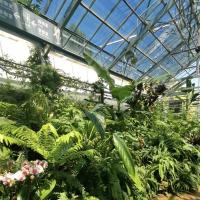 China Initial Payment Chinese Origin Glass Greenhouse with Hydroponic System Multi Span for sale