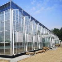 China Customized Request for Drip Irrigation Glass Greenhouse Commercial Greenhouse Setup for sale