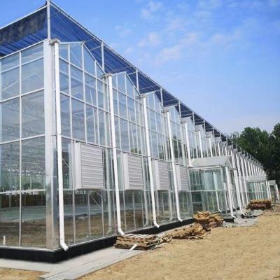 China Customized Request for Drip Irrigation Glass Greenhouse Commercial Greenhouse Setup for sale