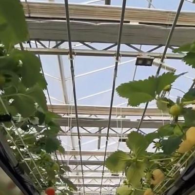 China Glass Greenhouse Hydroponic Vegetable Setup Shipping Cost and Estimated Delivery Time for sale