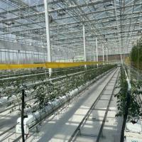 China High Light Transmission Glass Greenhouse for Vegetables Return refunds Up to 30 days for sale