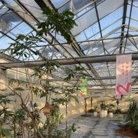 China High Light Transmission Glass Greenhouse for Vegetables Return refunds Up to 30 days for sale