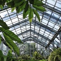 China High Light Transmission Glass Greenhouse for Vegetables Return refunds Up to 30 days for sale