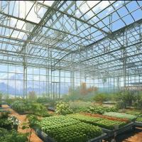 China High Light Transmission Glass Greenhouse for Vegetables Return refunds Up to 30 days for sale