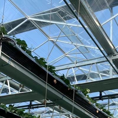China Large Glass Greenhouse The Perfect Environment for Hydroponic Vegetable Cultivation for sale