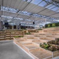 China Large Glass Greenhouse The Perfect Environment for Hydroponic Vegetable Cultivation for sale
