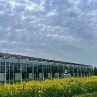 China Sleek Glass Greenhouse with Hydroponic Vegetable Setup Enhance Your Farming Efficiency for sale