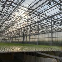 China Sleek Glass Greenhouse with Hydroponic Vegetable Setup Enhance Your Farming Efficiency for sale