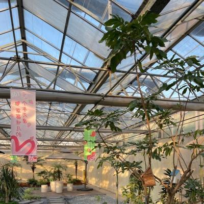 China Hydroponic System Multi-Functional Glass Greenhouse JX-A00303 for Optimal Crop Growth for sale