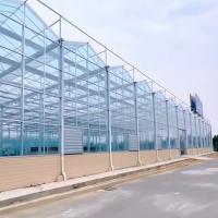 China Chinese Origin Glass Greenhouse with Hydroponic Vegetables Package Gross Weight 80.000kg for sale