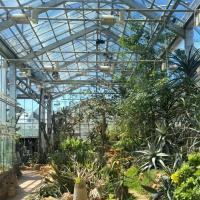 China Chinese Origin Glass Greenhouse with Hydroponic Vegetables Package Gross Weight 80.000kg for sale