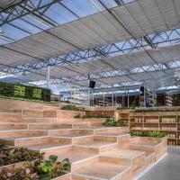 China Roofing Shape a Type Roof Hydroponic Glass Greenhouse for Large Vegetable Farming for sale