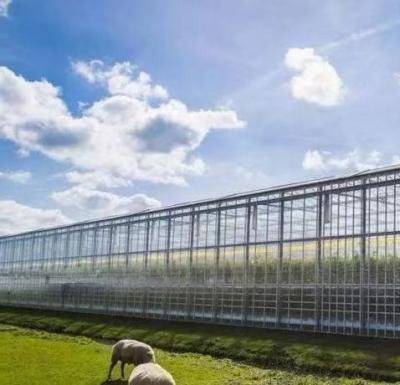 China Hydroponics Glass Greenhouse with Shading Screen System Package Gross Weight 80.000kg for sale