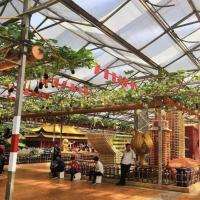 China Glass Greenhouse for Hydroponic Vegetable Cultivation Package Gross Weight 80.000kg for sale