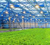 China US Float Single Span Greenhouse for Vegetables/Fruits/Flowers and Return refunds for sale
