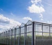 China US Float Single Span Greenhouse for Vegetables/Fruits/Flowers and Return refunds for sale