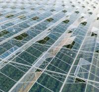 China US Float Single Span Greenhouse for Vegetables/Fruits/Flowers and Return refunds for sale
