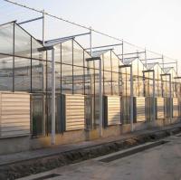 China Vegetable Tree Cultivation Multi Shading Screen System Greenhouse in Steel Structure for sale