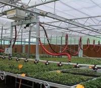 China Vegetable Tree Cultivation Multi Shading Screen System Greenhouse in Steel Structure for sale