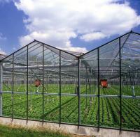 China Vegetable Tree Cultivation Multi Shading Screen System Greenhouse in Steel Structure for sale