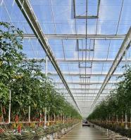China Vegetable Tree Cultivation Multi Shading Screen System Greenhouse in Steel Structure for sale