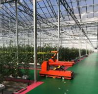 China Commercial Greenhouse JX-h0075 Hydroponic Growing System for Vegetable Production for sale