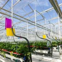 China Roofing Shape A Type Roof Hydroponic System For Glass Greenhouse Vegetables for sale