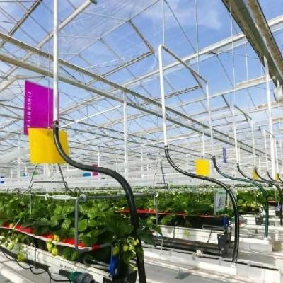 China Roofing Shape A Type Roof Hydroponic System For Glass Greenhouse Vegetables for sale
