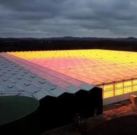 China Steel Structure Venlo Hydroponics Growing System for Hydroponic Vegetable Cultivation for sale