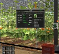 China Steel Structure Venlo Hydroponics Growing System for Hydroponic Vegetable Cultivation for sale