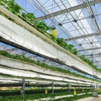 China Hydroponic Growing System Glass Greenhouse for Double Layer Roofing Shape a Type Roof for sale