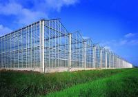 China 80.000kg Package Gross Weight Glass Greenhouse with Hydroponics and Shipping Cost for sale