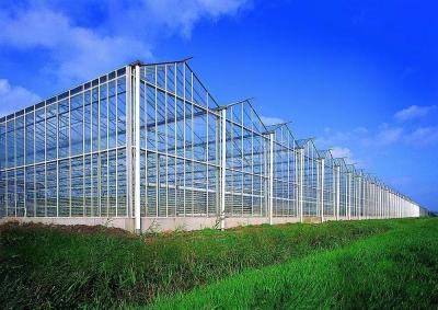China 80.000kg Package Gross Weight Glass Greenhouse with Hydroponics and Shipping Cost for sale