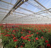 China Double Layer Vegetable Planting Greenhouse with Drip Irrigation and Steel Structure for sale