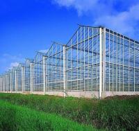 China Double Layer Vegetable Planting Greenhouse with Drip Irrigation and Steel Structure for sale
