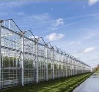 China Double Layer Vegetable Planting Greenhouse with Drip Irrigation and Steel Structure for sale